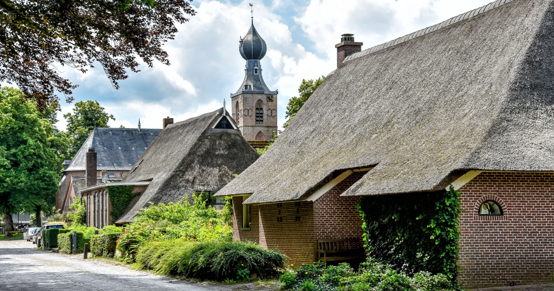 Search | Kist Verzekeringen